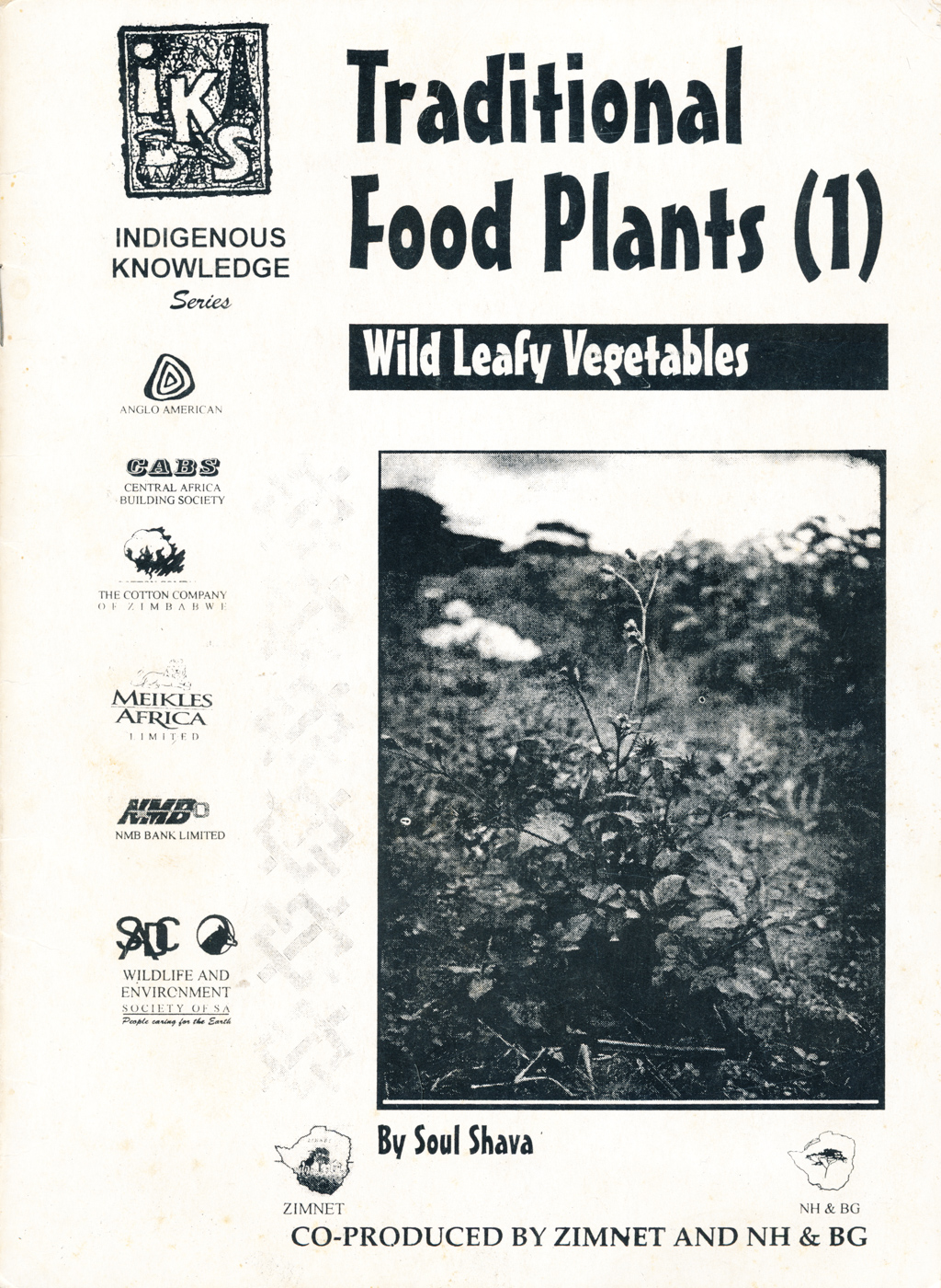 Indigenous Knowledge Series – Traditional Food Plants (1) – Wild Leafy ...